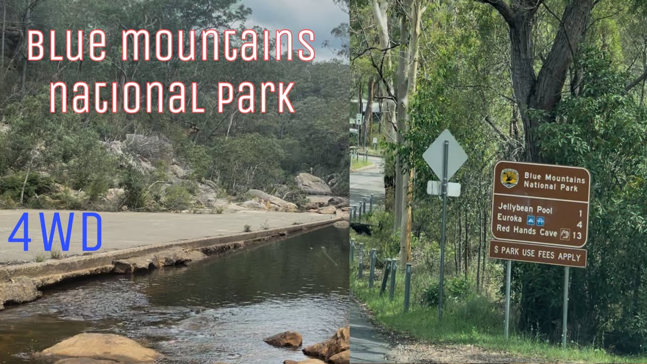 4WDRIVING AT THE BLUE MOUNTAINS NATIONAL PARK/ MAY NAKITA AKONG DRAGON ...