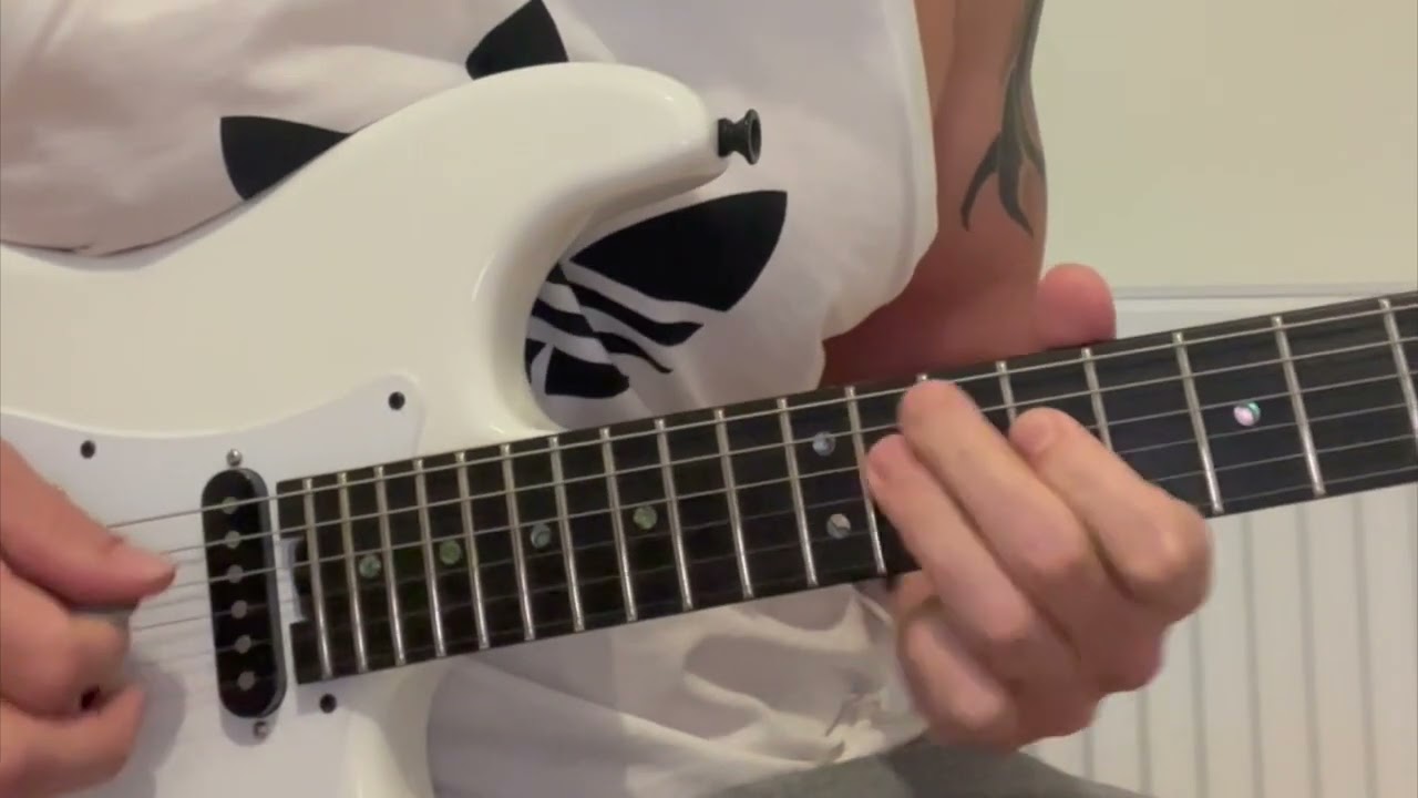 🐶🐶 mess about. - YouTube