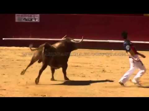 Bull Leaping in Spain trimmed - YouTube
