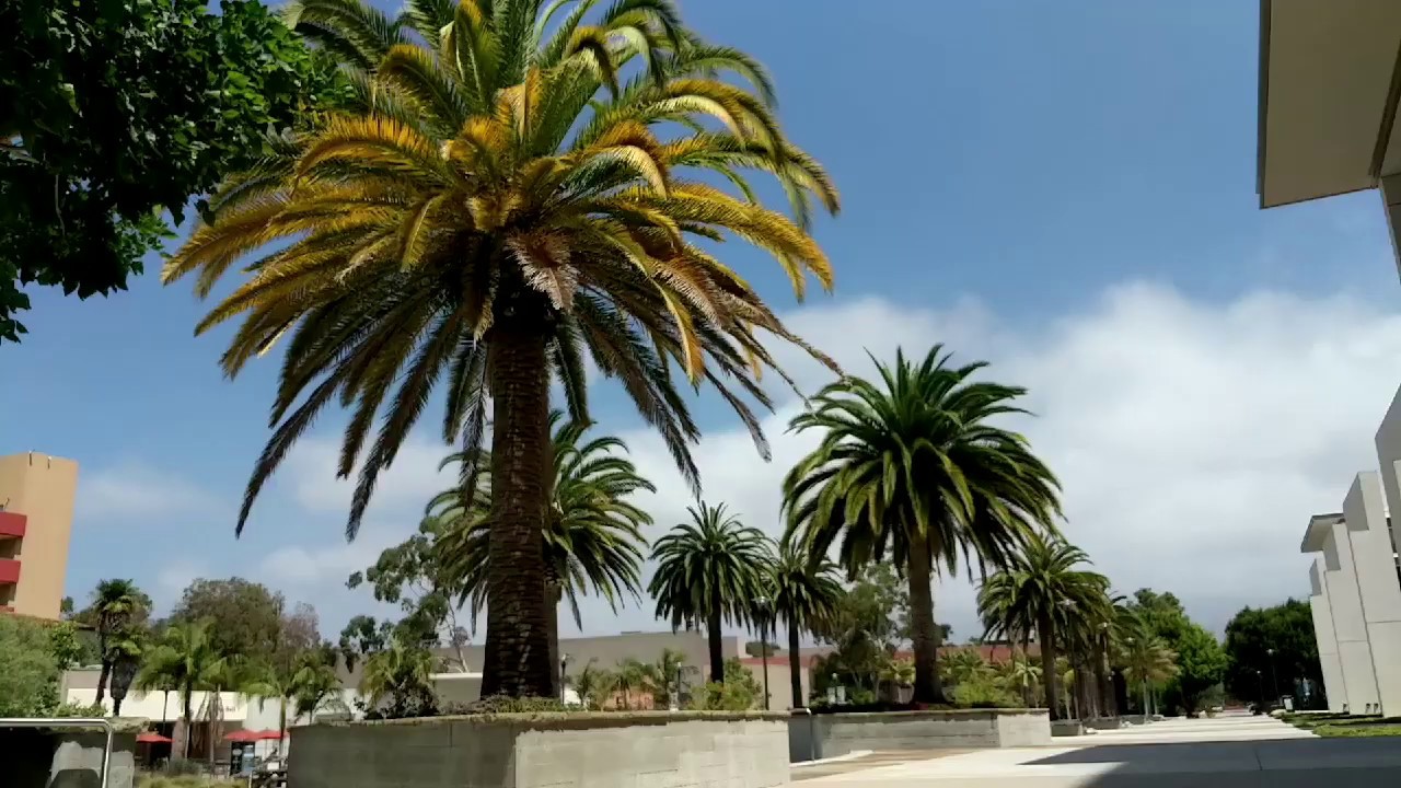 Plant Physiology - Introduction to UCSB Campus Plants - YouTube