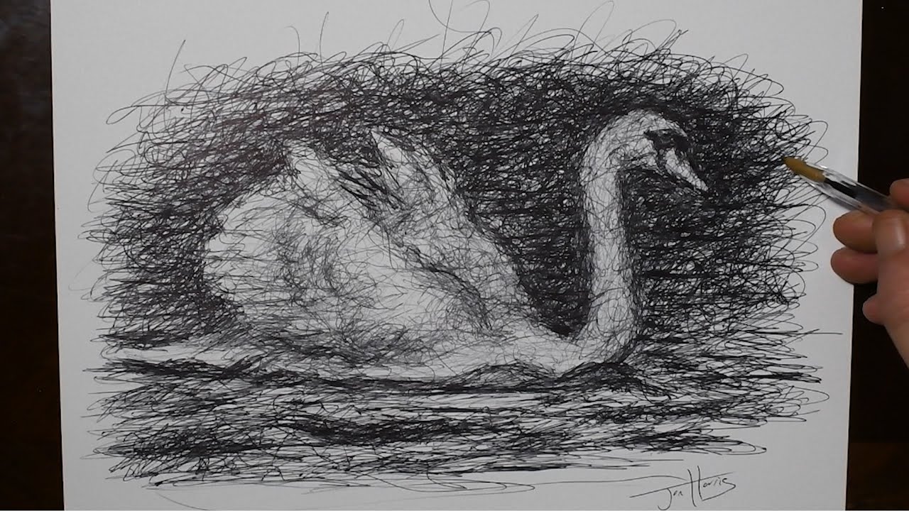 How to Draw a Swan | Amazing Scribble Art Drawing with a Bic Pen - YouTube