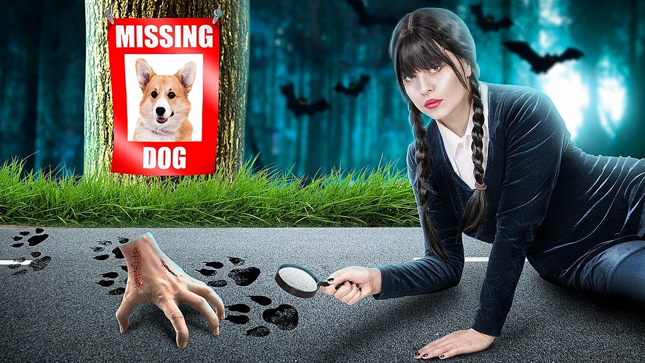 Wednesday Dog Images