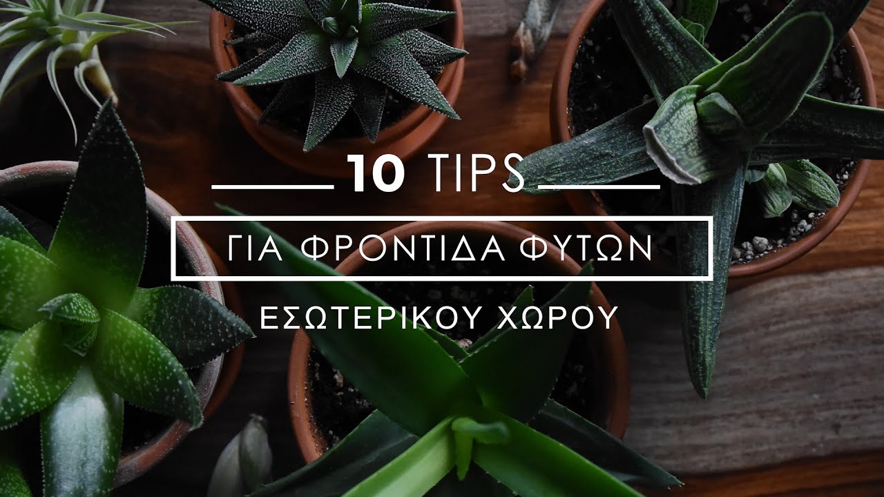 10 Εύκολες Συμβουλές για να Φροντίσεις τα Φυτά Εσωτερικού Χώρου - YouTube