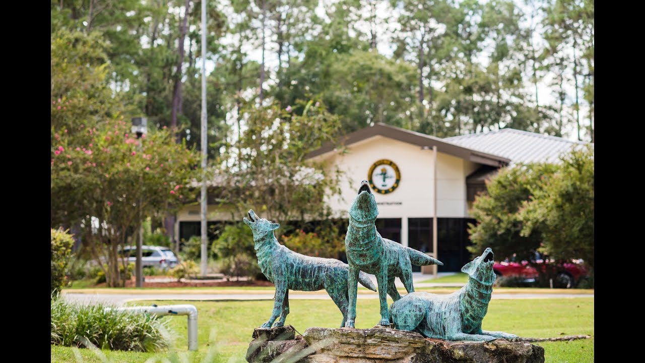 This is Florida Gateway College - YouTube