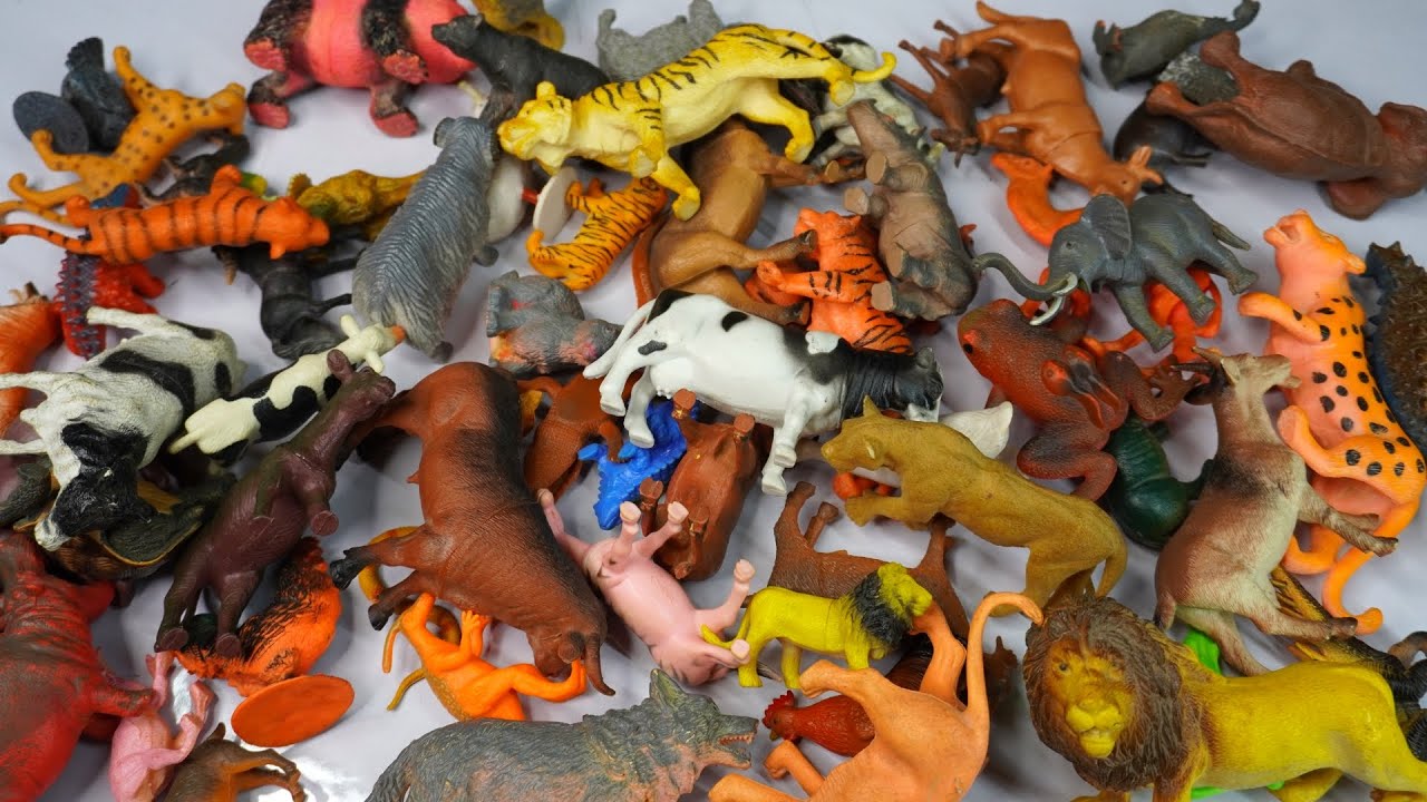 Farm Animals collection 14+, Dogs, Chicken, Cow, Parrot, Macaw, Pig ...