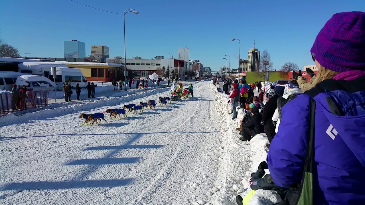 Iditarod 2017 Ceremonial Start - YouTube