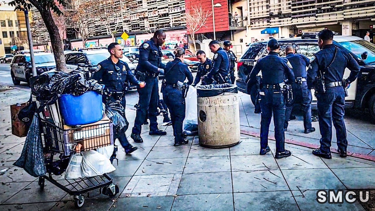 Misdemeanor Shopping Cart Possession Leads to Drug-Related Arrest in ...