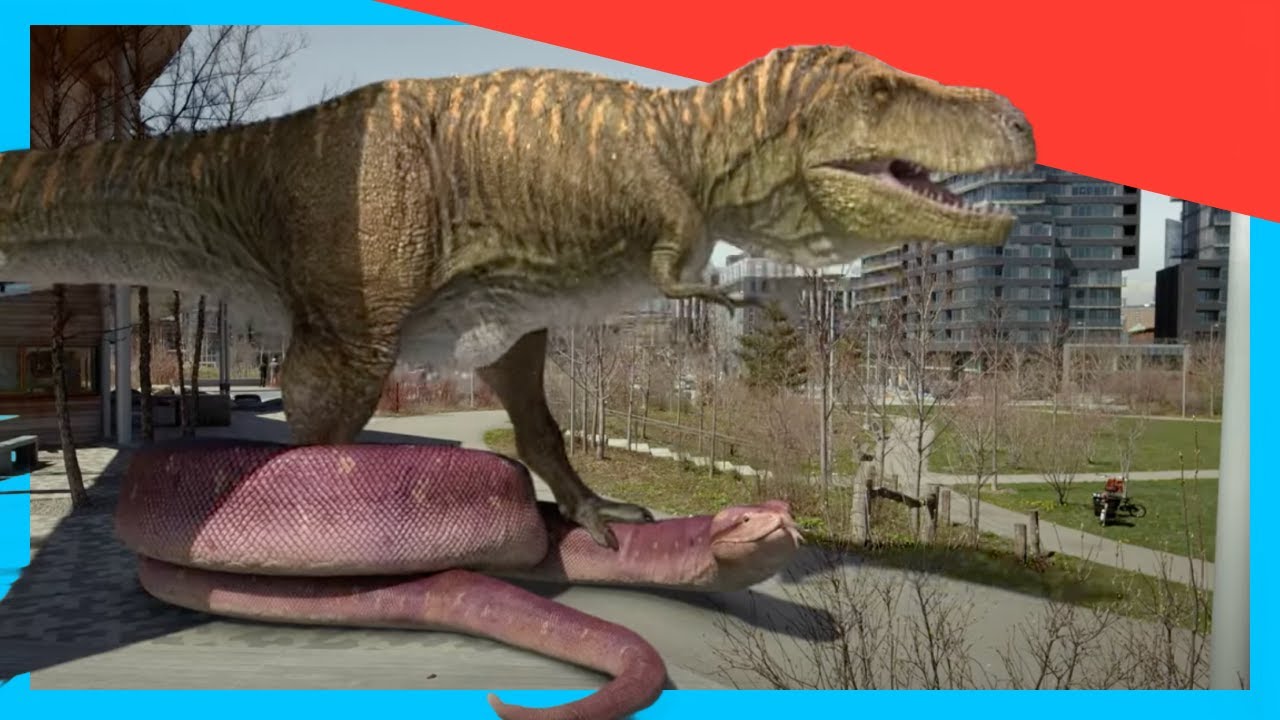🦖 T. Rex! vs. Giant Snake 🐍! The Ultimate Showdown! ⚔️ | Dino for Kids ...