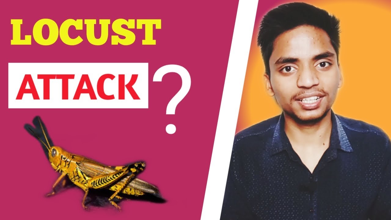 Locust Attack In India 2020।। Desert Locust Full Explanation।। Sachin ...