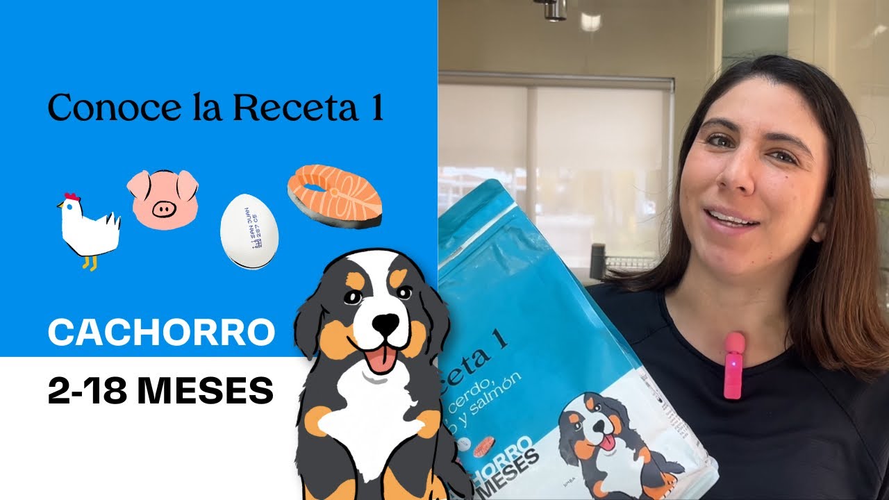 Conoce la receta 1 🐶 | Esto es Maka - YouTube