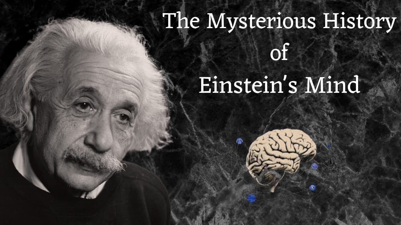 Mysterious history of Einstein's Brain | How Einstein's brain is ...
