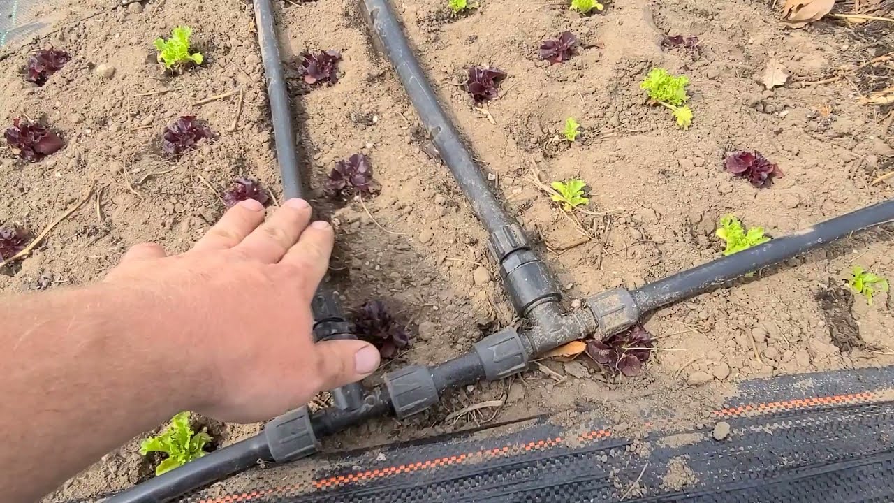 Drip Irrigation - How I Set Up My System - WiFi Controlled From Phone ...