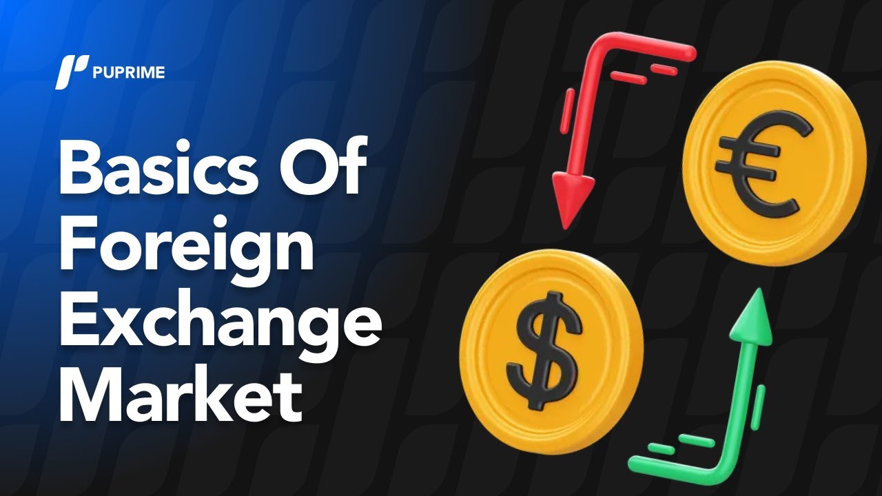 Forex Basics | What is the Foreign Exchange Market? - YouTube