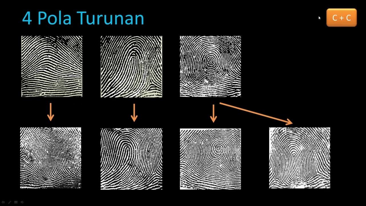 1. Bentuk Pola - Training Online keagenan Analisa Sidik Jari Bakat Aqila AFTA - YouTube