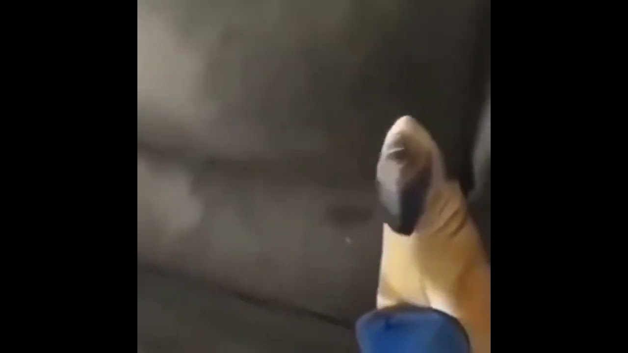 unimaginable horrors beyond human comprehension number 1 - YouTube