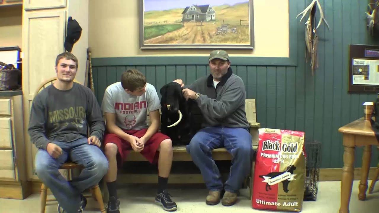 Kubby The Wonder Dog - YouTube