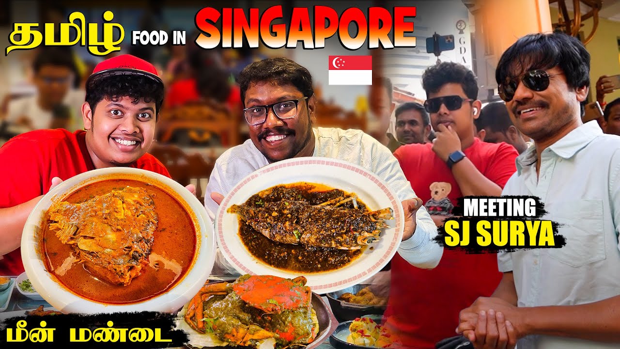 Singapore விருந்து 🇸🇬 | Apolo's Food Village - Irfan's View - YouTube