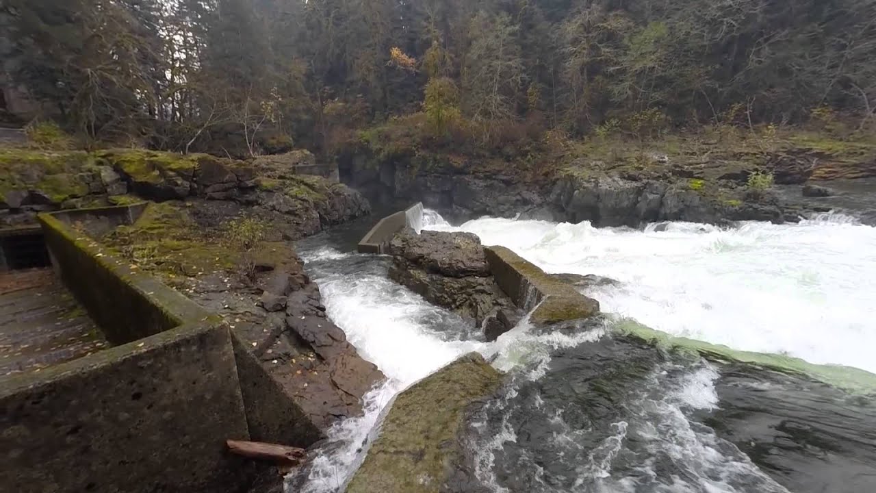 Stamp Falls Provincial Park - YouTube