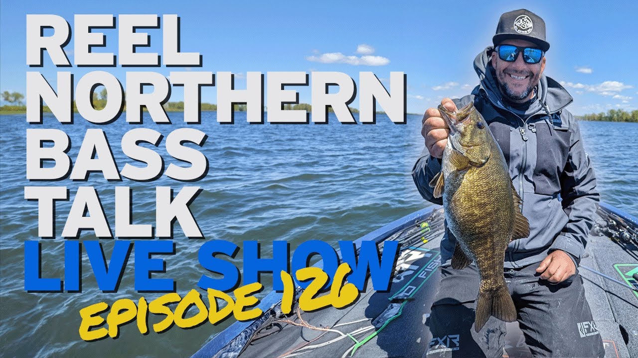 Reel Northern Bass Talk Livestream - YouTube