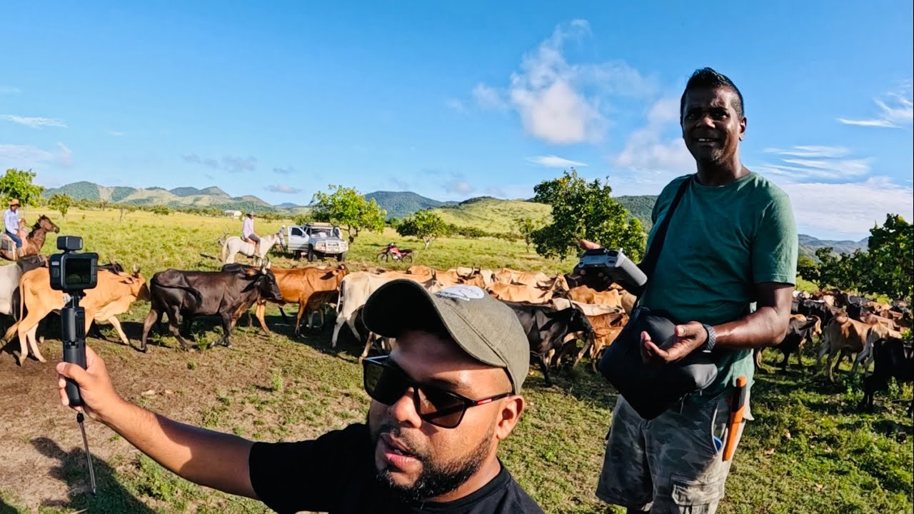 RANCHING IN THE RUPUNUNI SAVANNAH GUYANA - YouTube