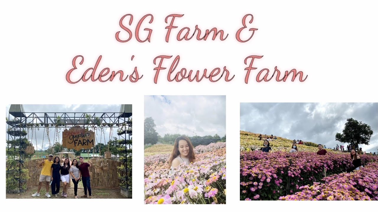 📍SG Farm & Eden's Flower Farm | Tupi, South Cotabato - YouTube