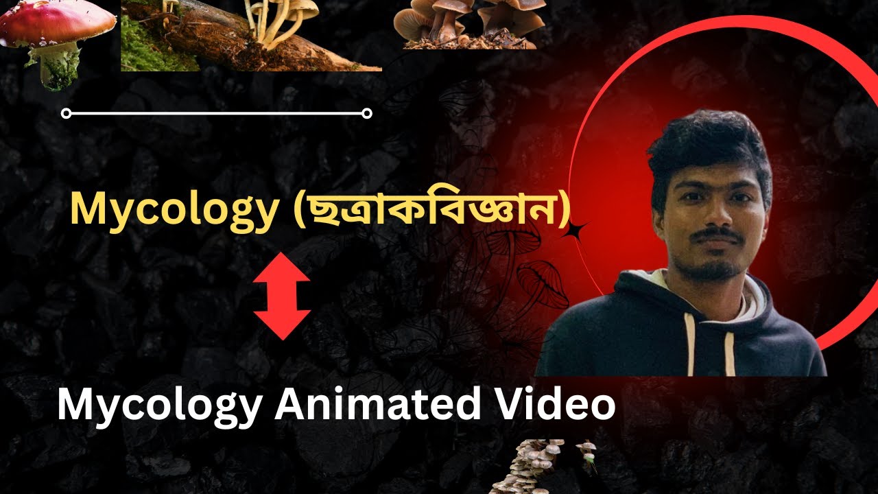 Mycology Animated Video - YouTube