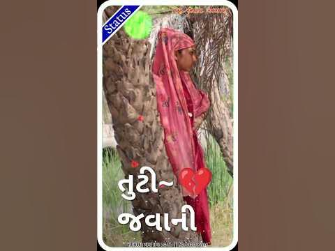 Somabhai Baria New Timli 2024 Status || Dilip Baria New Timli Status 2024 ||Gujarti Timli Dance ...