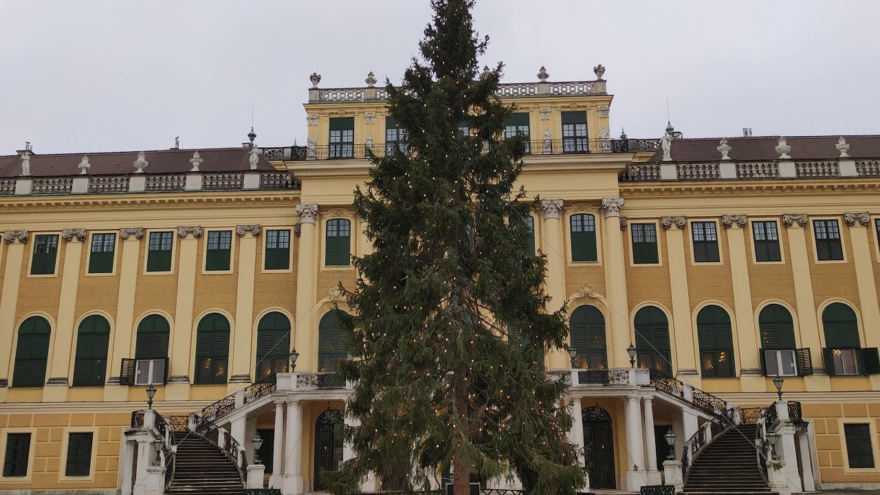 Schloss Schönbrunn Christbaum X-Mas Tree Palace Wien Ausflug Vienna ...