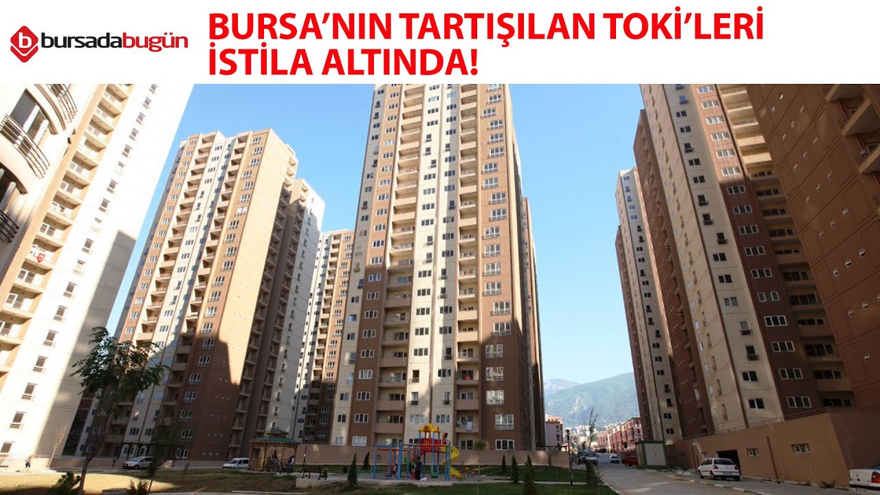 Bursa'da Doğanbey TOKİ'lerini fareler bastı - YouTube