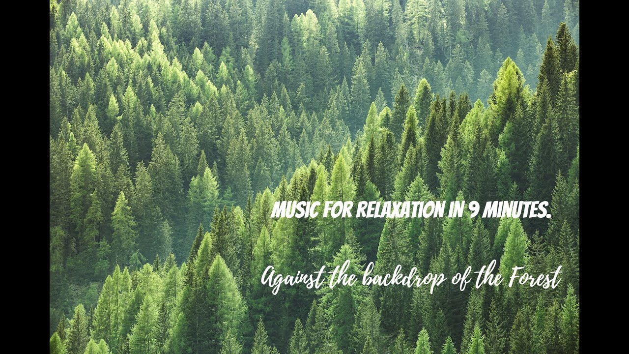 🔴Relaxing Music with Nature Sounds 🔴 Forest Music 🔴 Sleep Music 🔴 ...