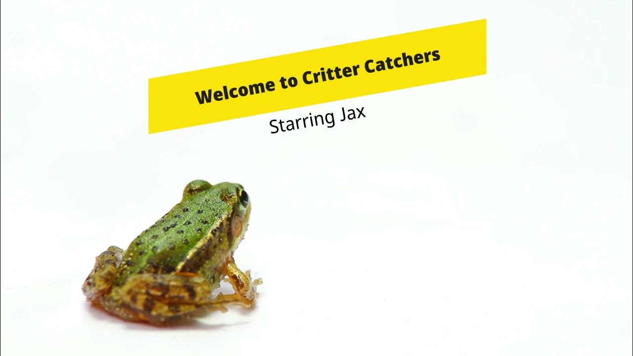 Critter Catchers Episode 1 - YouTube