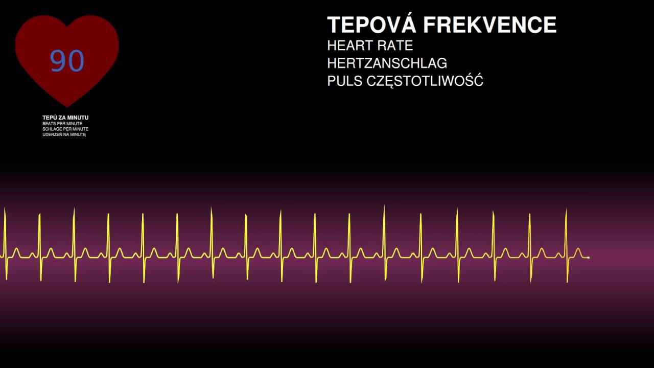 tep srdce iQLANDIA - YouTube