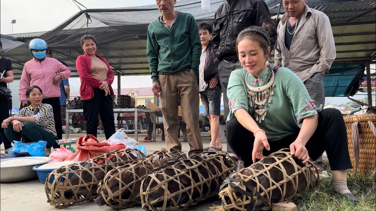 Go To The Market And Sell All The Pigs In A Few Minutes, Make young ...