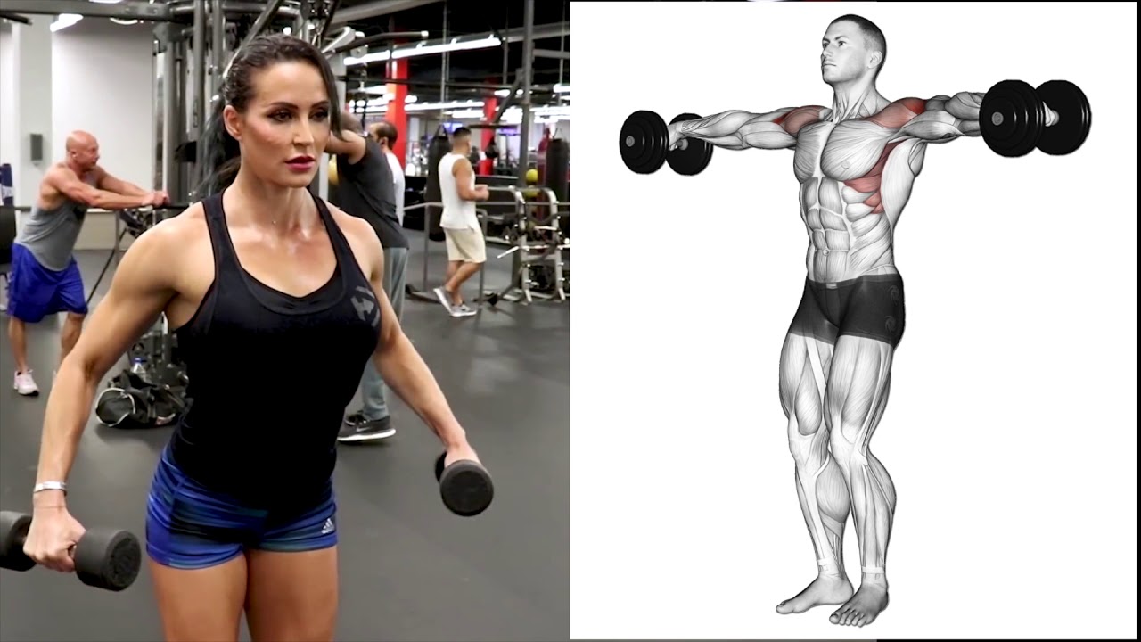 How To Do Side Lateral Raises YouTube