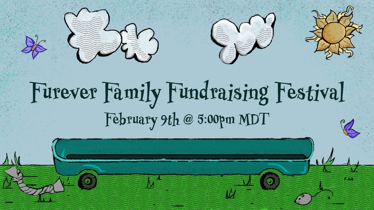 The Forever Family Fundraising Festival - YouTube