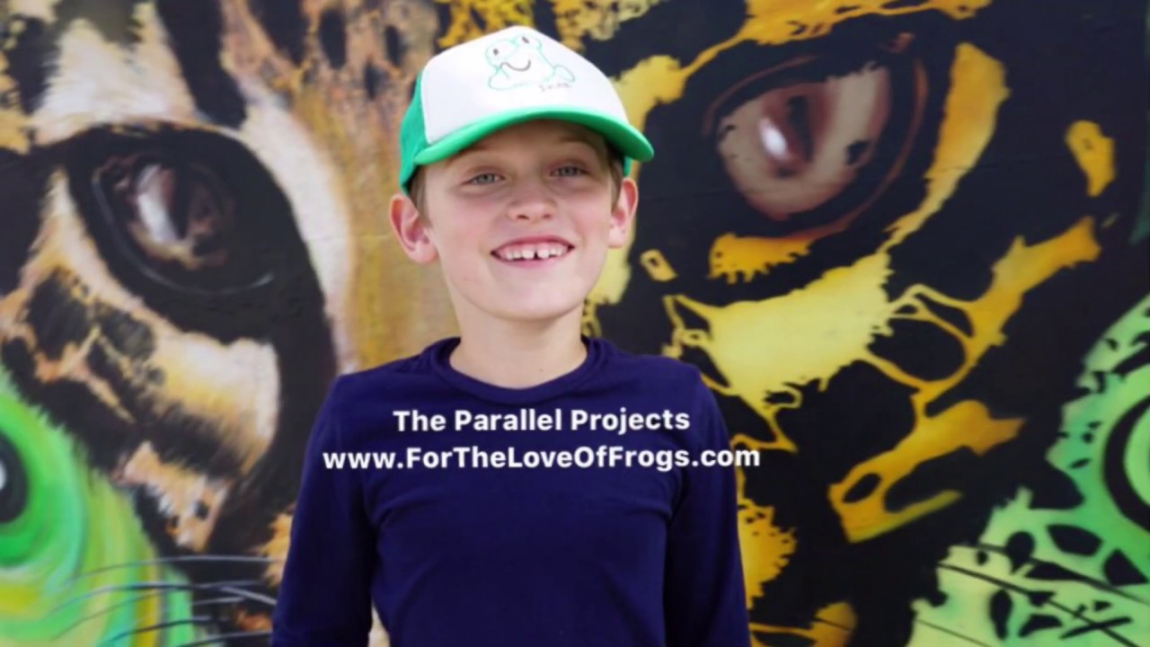 What are the Parallel Projects? - YouTube