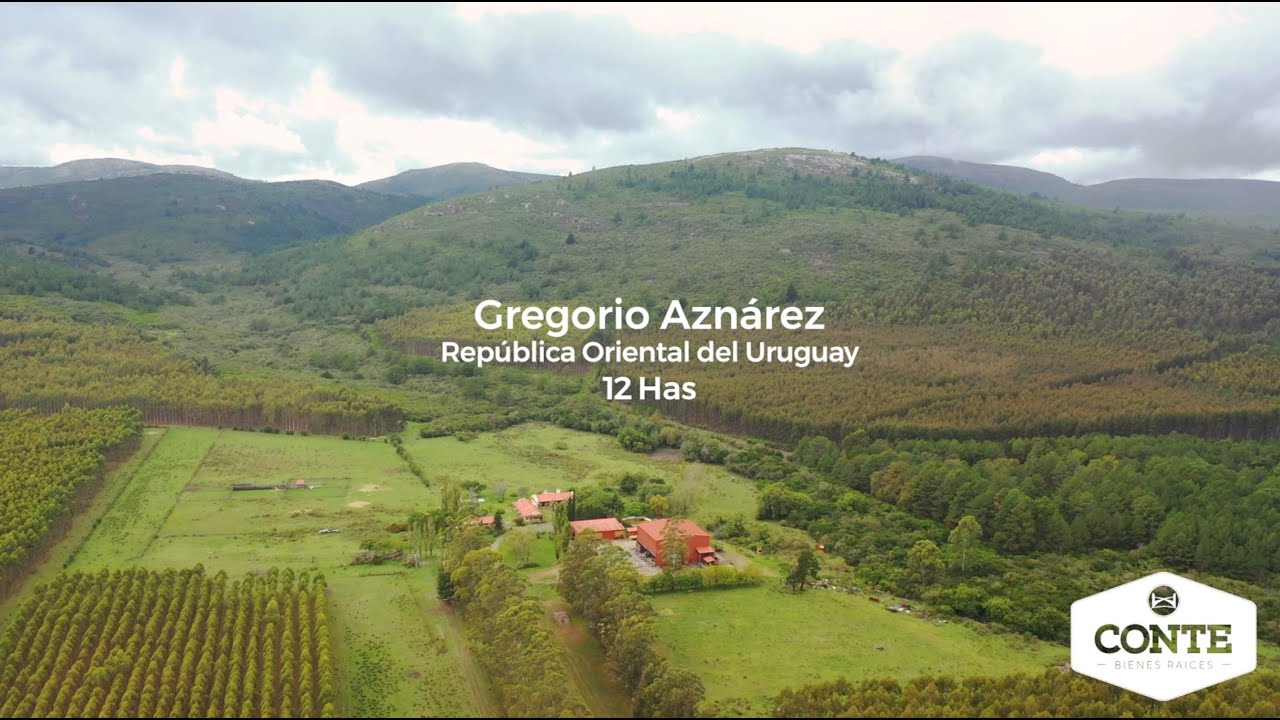Conte Bienes Raíces - Gregorio Aznárez 12 Has - YouTube