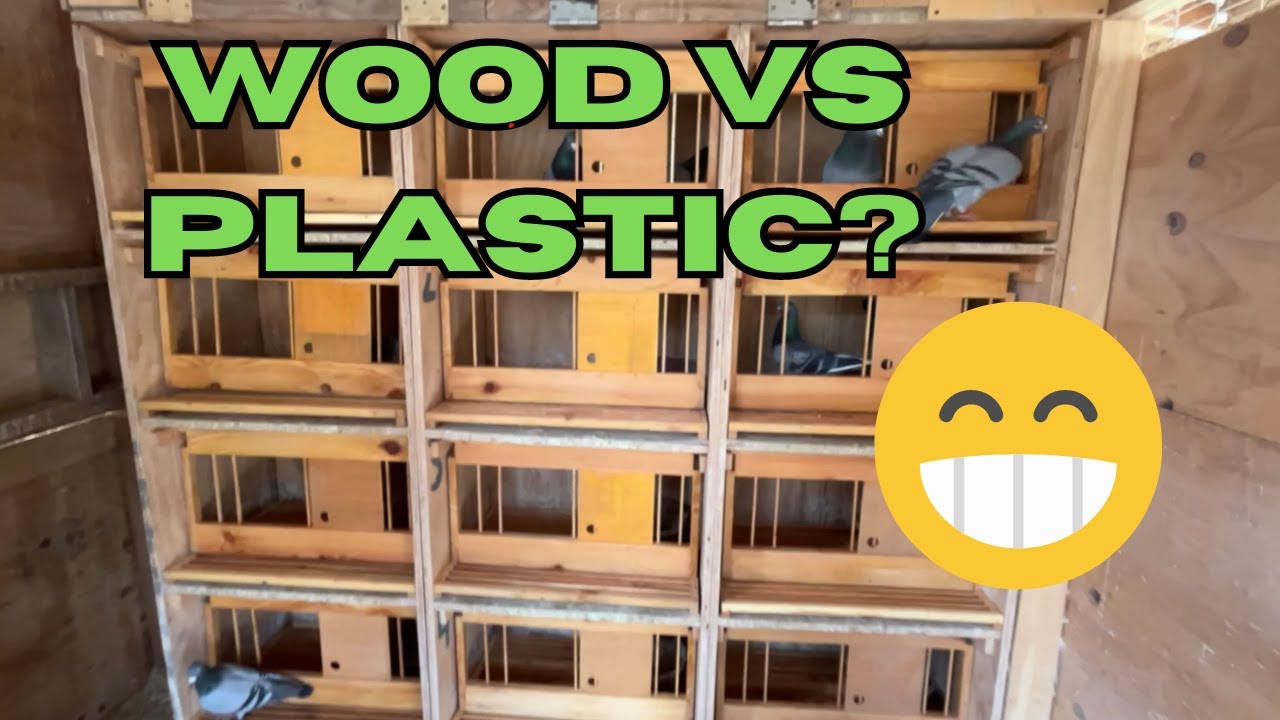 New all Natural Nest Fronts + Settling cage - YouTube