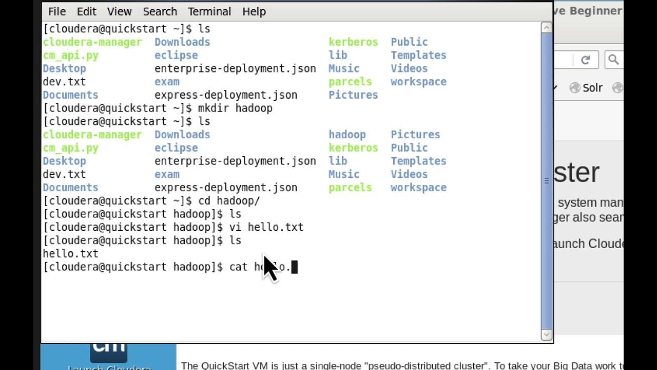 Run basic hadoop commands on Cloudera quickstart vm - YouTube