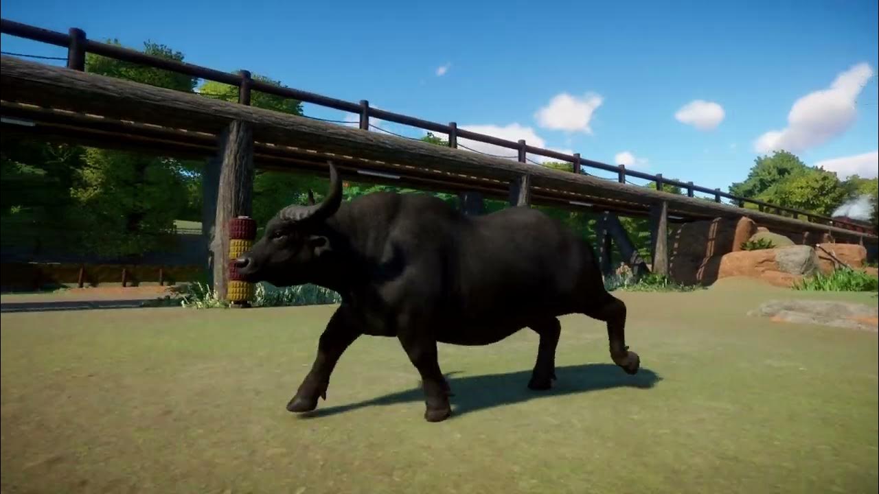 African Buffalo | Planet Zoo Animals - YouTube