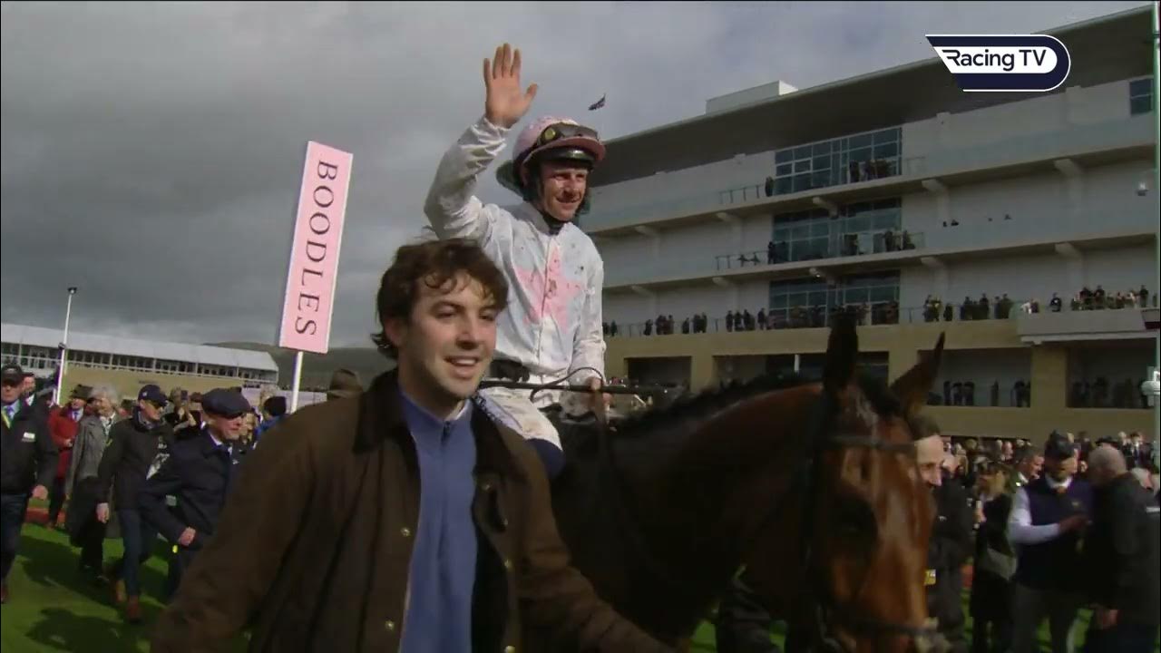 Willie Mullins - Absurde & Vauban's Melbourne Cup hopes - YouTube