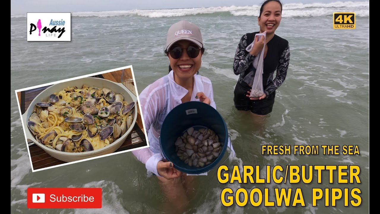 Catching & Cooking Goolwa Pipis - YouTube