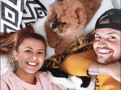 PET TAG | Náš nový člen rodiny! #chowchow 🍩