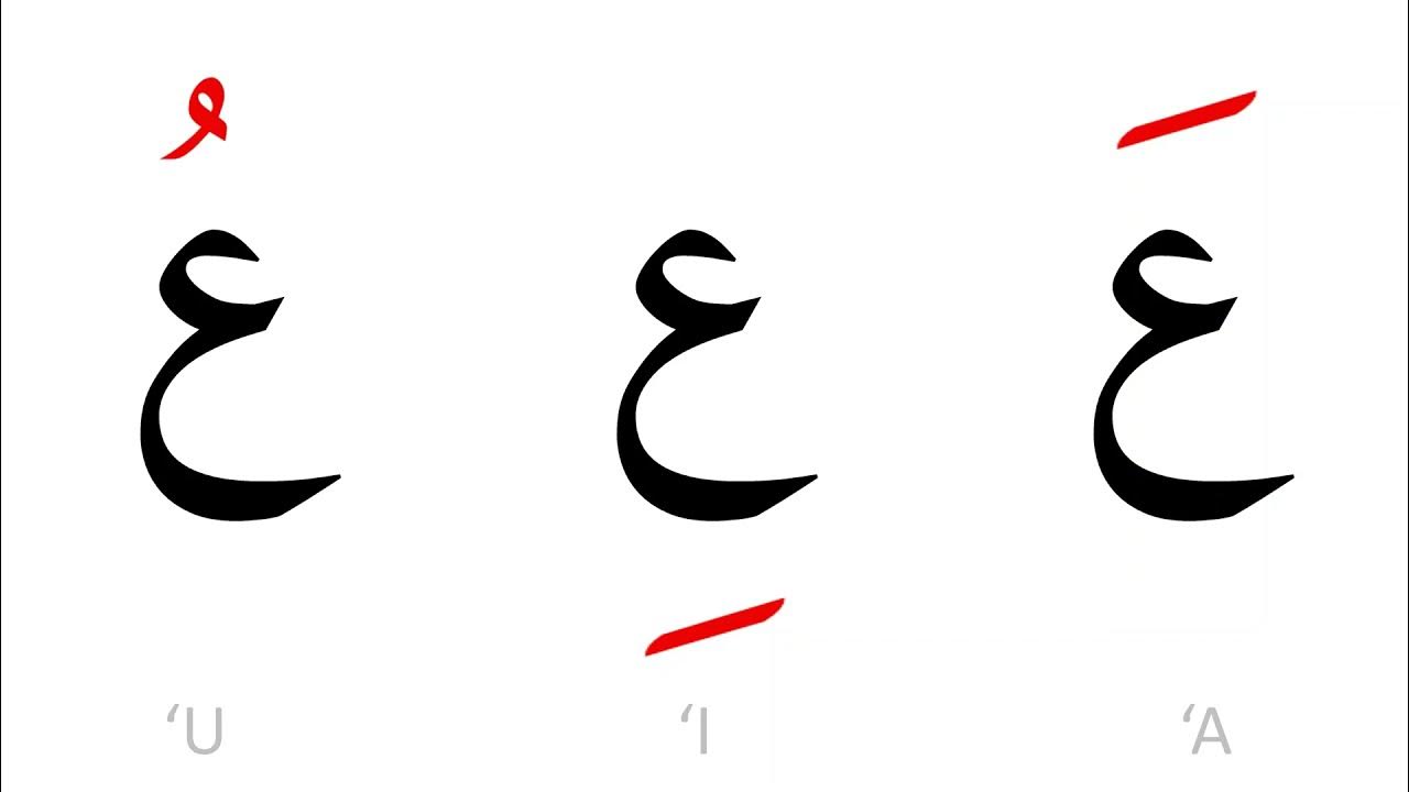 Flashcards - Arabic alphabet with Fatha, Kasra and Damma | Alif Ba Ta ...