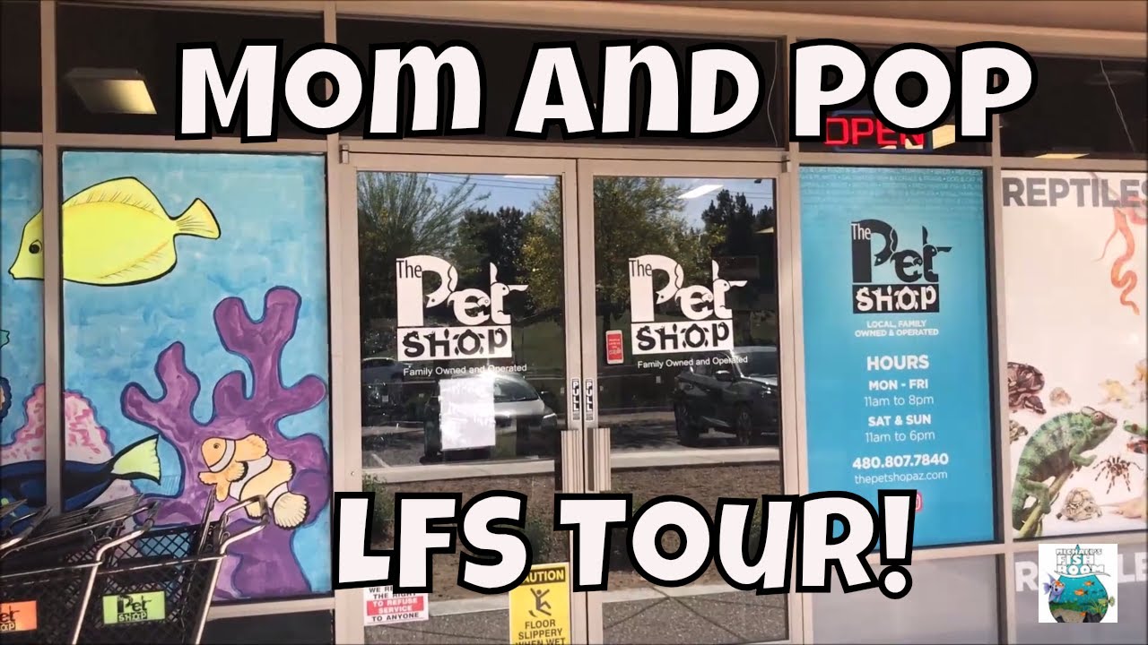 Mom and Pop fish Store Tour Mesa, Arizona - YouTube