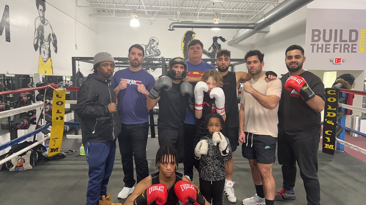 K9 Boxing Livestream: Sparring Session #149 - YouTube