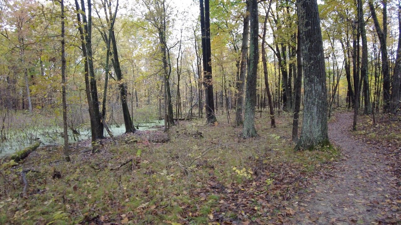 Hudson Mills Metropark Walk - 4K 60FPS - 3D Audio - ASMR - Autumn ...