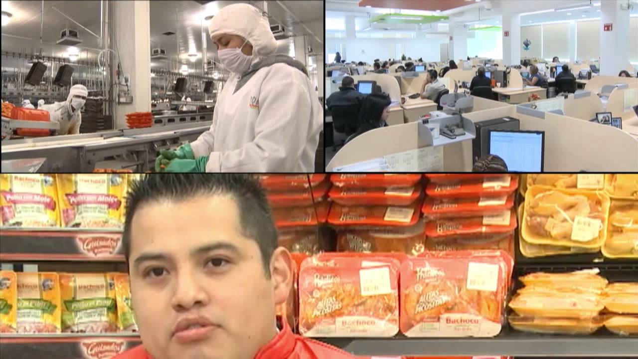 Caso de éxito Bachoco - YouTube