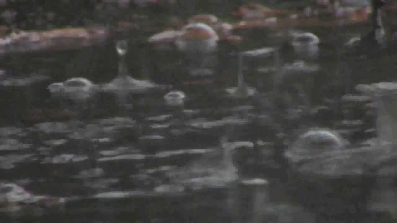 Odd Year ft. Coury Palermo (remix/covering) - Here Comes the Rain Again ...