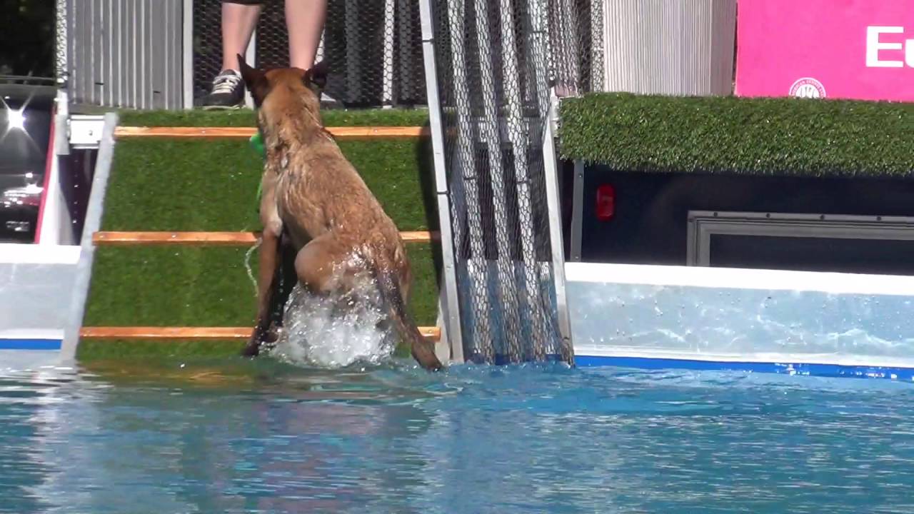 Pivot - Dock diving - YouTube